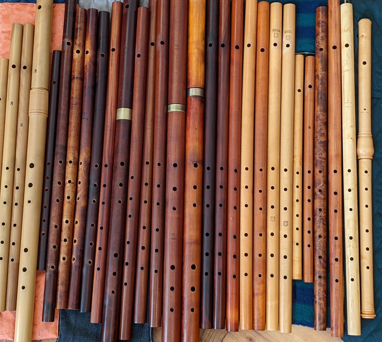 2025 – Amanda Markwick